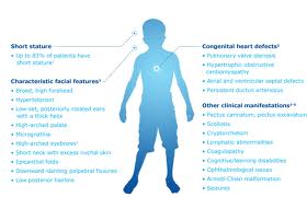 Regan's Honors Biology Blog: Noonan Syndrome Research