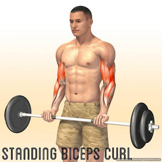 Bicep Muscle Anatomy Workout | Bodybuilding and Fitness Zone