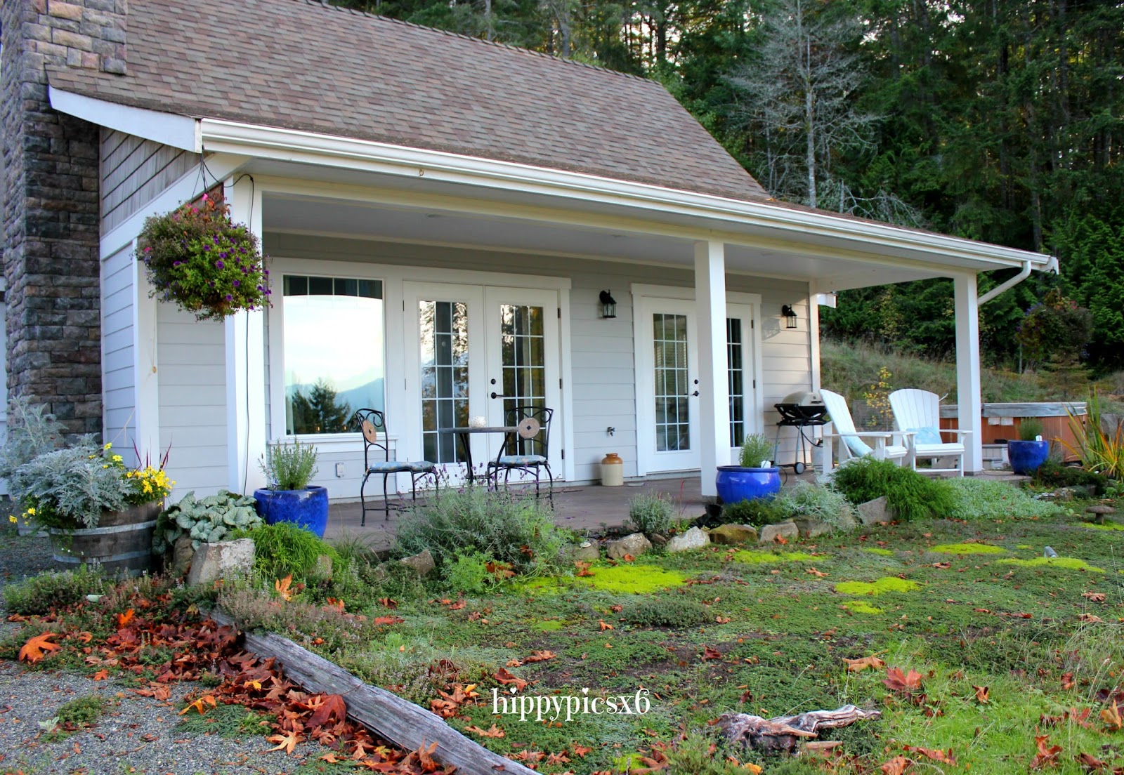 Our Little Cottage in the Big Woods: Our Little Cottage.