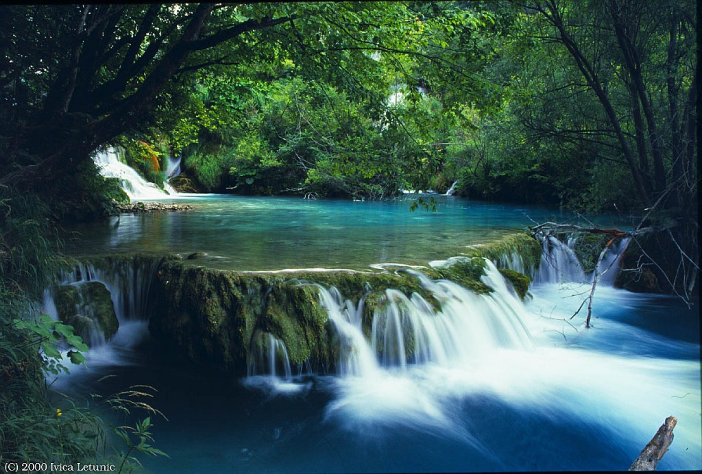 Interesting Green: Waterfall, Dolphins, Lovely Scenery, Picture