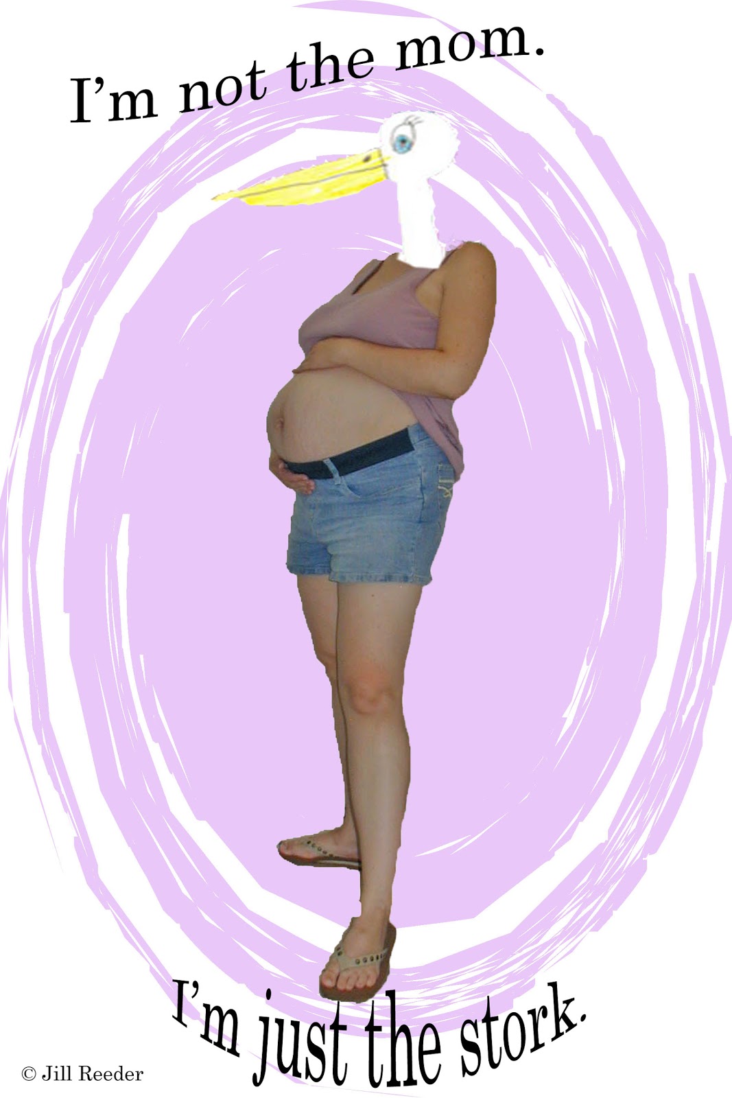 Mormon Surrogate: I'm not the mom. I'm just the stork.: I'm not the mom ...