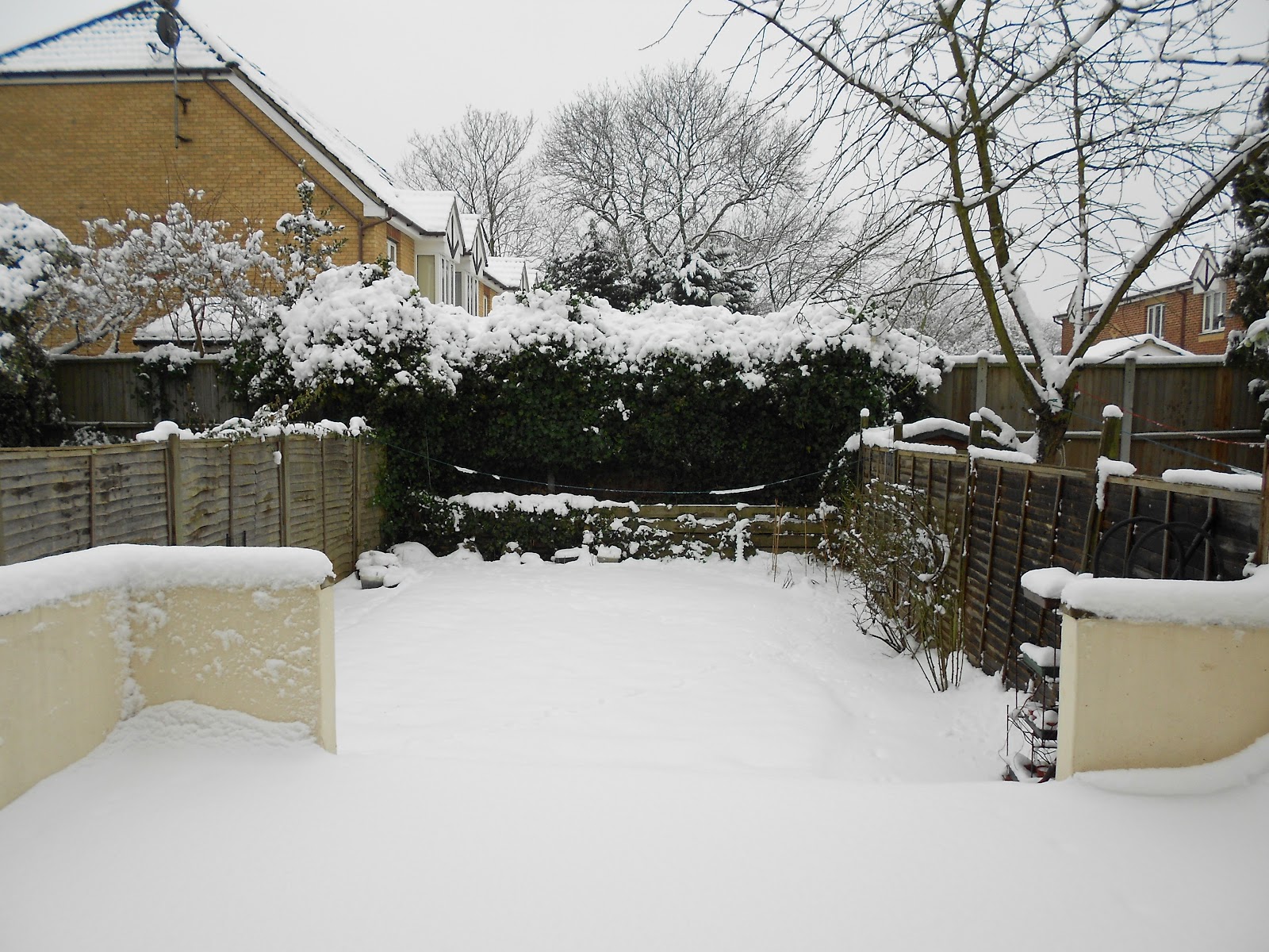 Gidday from the UK: Snow Stories...Fabulous Finchley