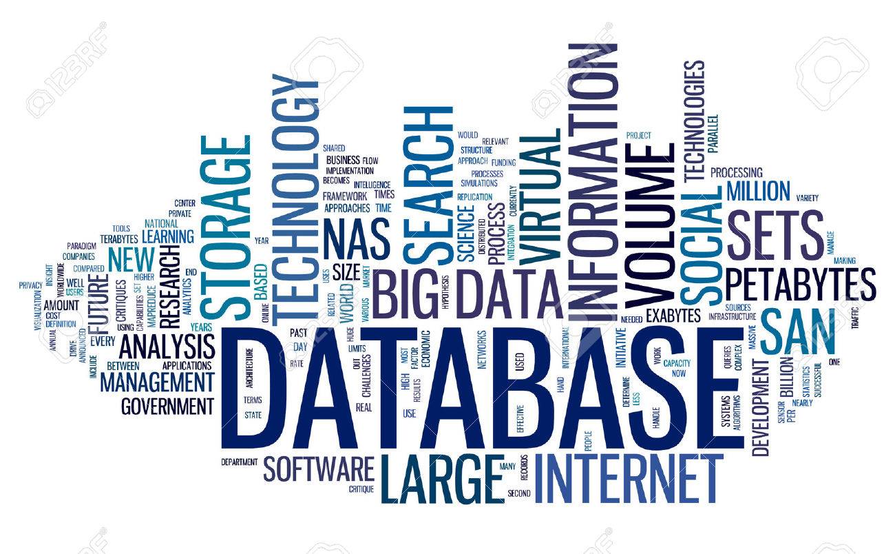 Database Management System (DBMS)