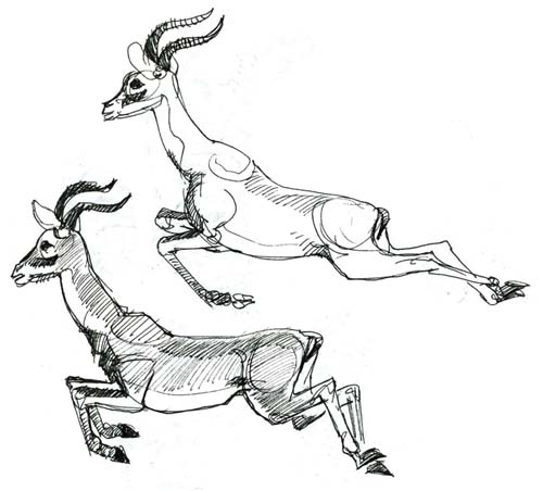 Art by Jeane Nevarez: uganda kob