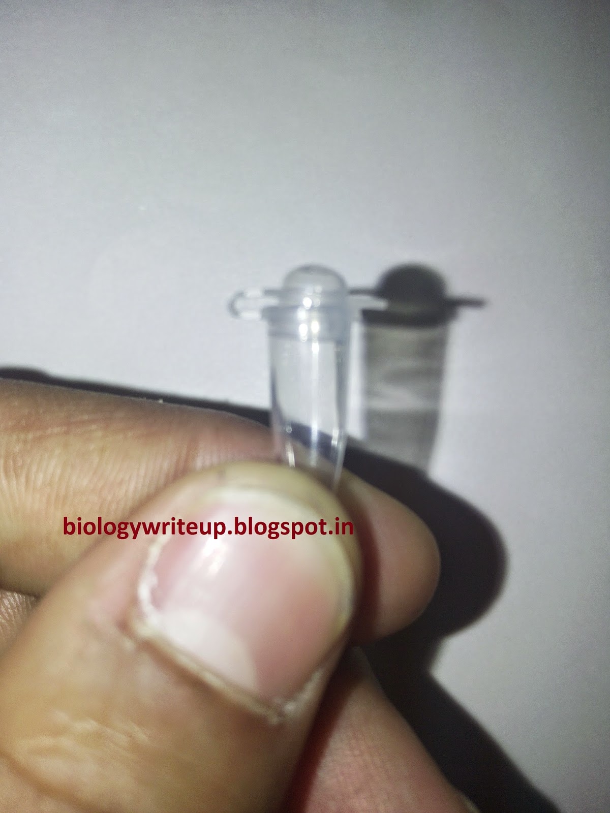 BIOLOGY WRITE-UP - BIOLOGY ARTICLES: POLYMERASE CHAIN REACTION (PCR ...