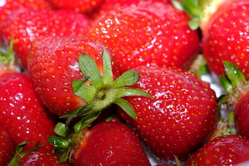 Encyclopedia of Trivia: Strawberry