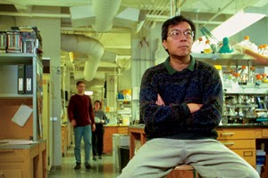 Life of Controversy: Nobel Prize 2014 : Medicine and Physiology Front ...