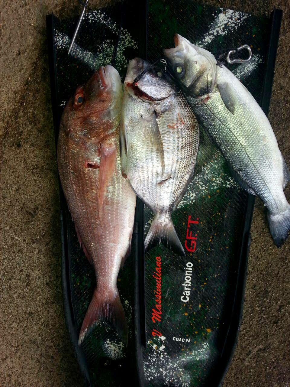 "DAMMI UN PESCE E MANGERO' UN GIORNO, INSEGNAMI A PESCARE E MANGERO ...