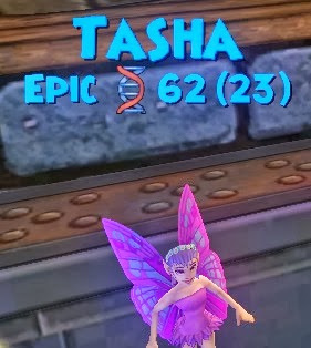 Amy Haven's Wizard101 Tips and Tricks: Basics of Pets & Hatching