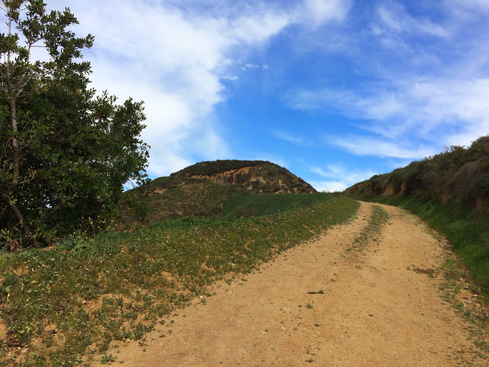 Iron Hiker: Buzzard Peak