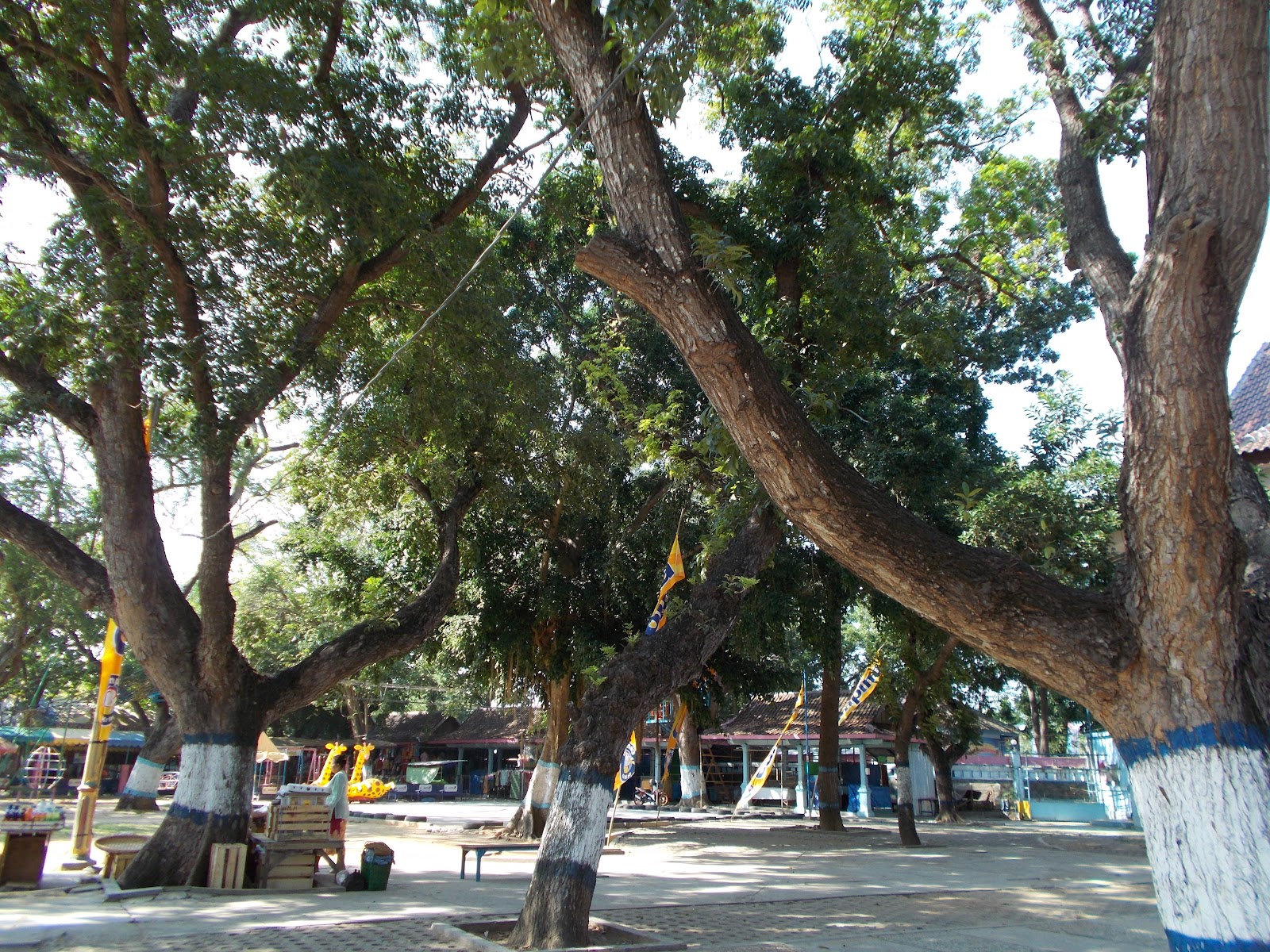Dampo Awang Beach (Taman Rekreasi Pantai Kartini Rembang ) | Galeri ...