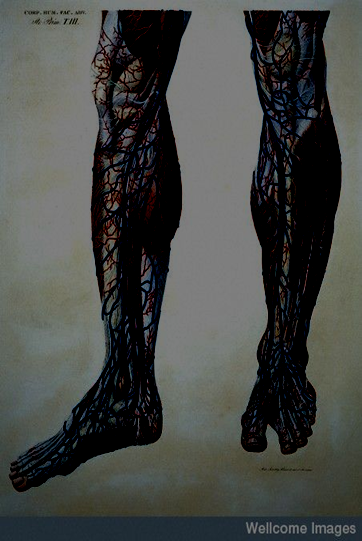 Groupe 35 - Année 2013-2014: Pourquoi le sang est-il rouge alors que ...