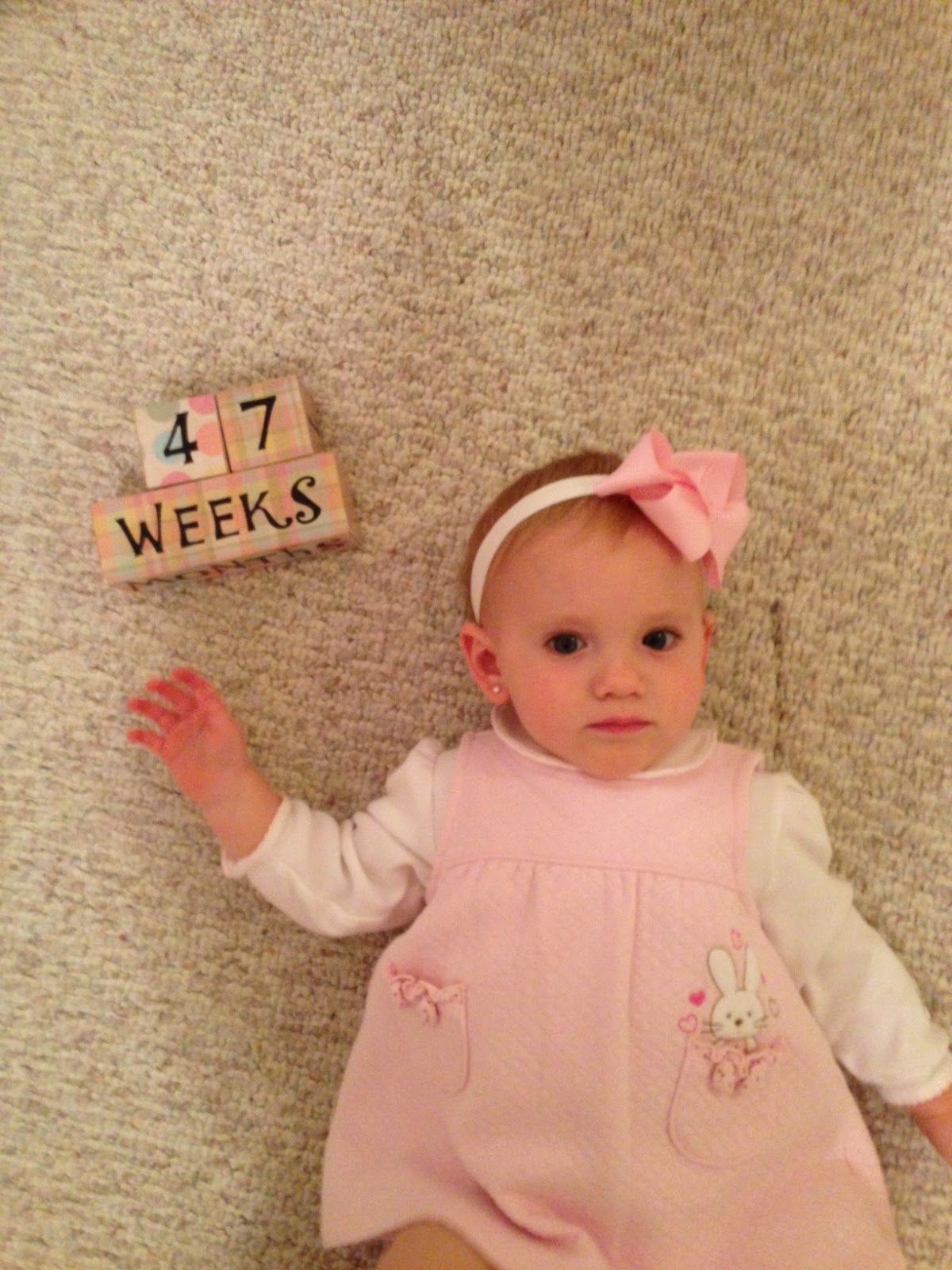 Organized Chaos: 47 Weeks & Week Recap