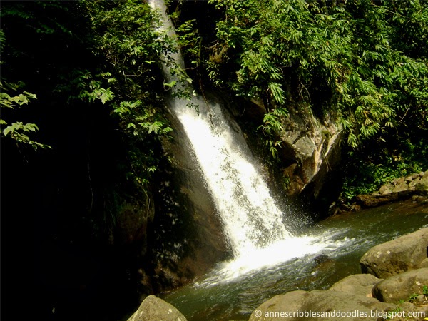 Bacolod Travel Diary Part 2: Mambukal Falls | Anne's Scribbles and Doodles