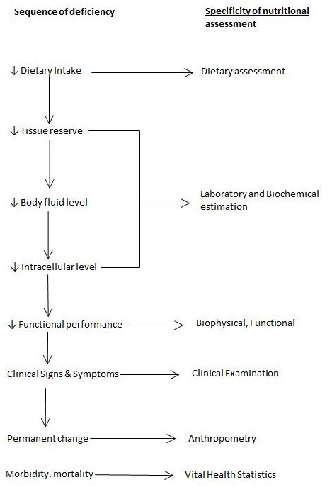 community medicine: Assessment of nutritional status from birth upto 18 ...