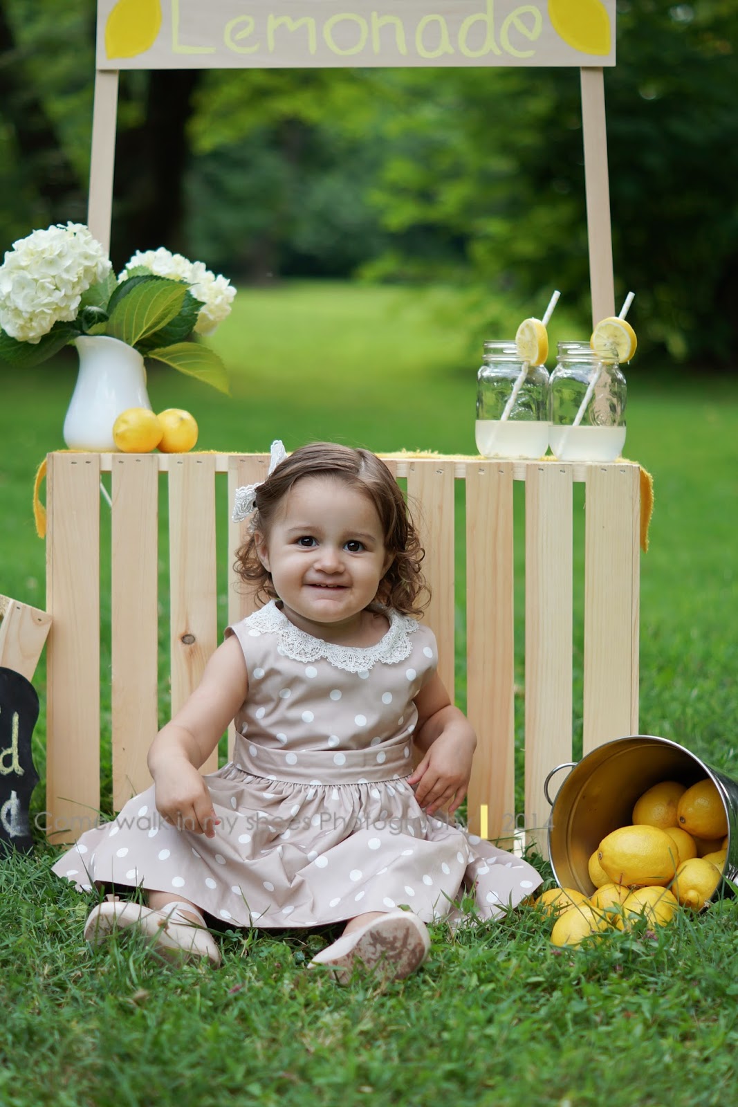 Lemonade mini Sessions!
