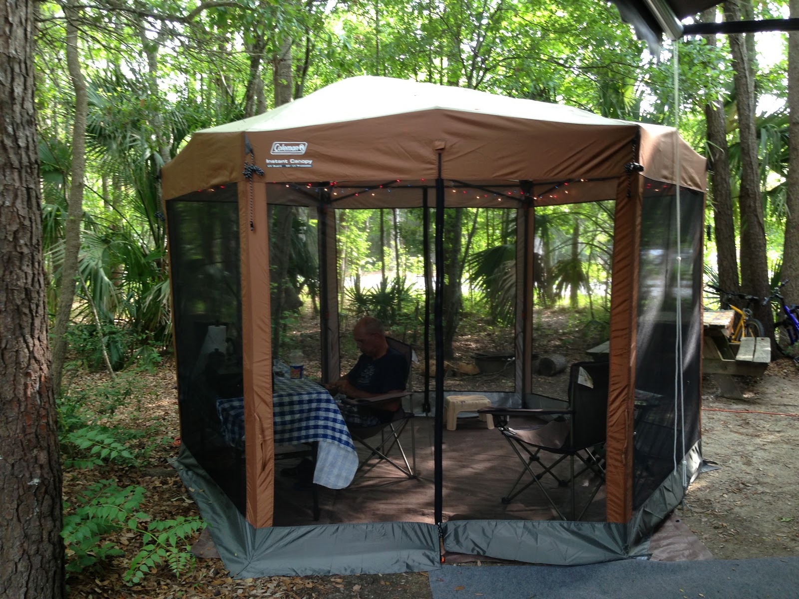 Busy Bees RV Adventures: Coleman 10x12 Screen Canopy