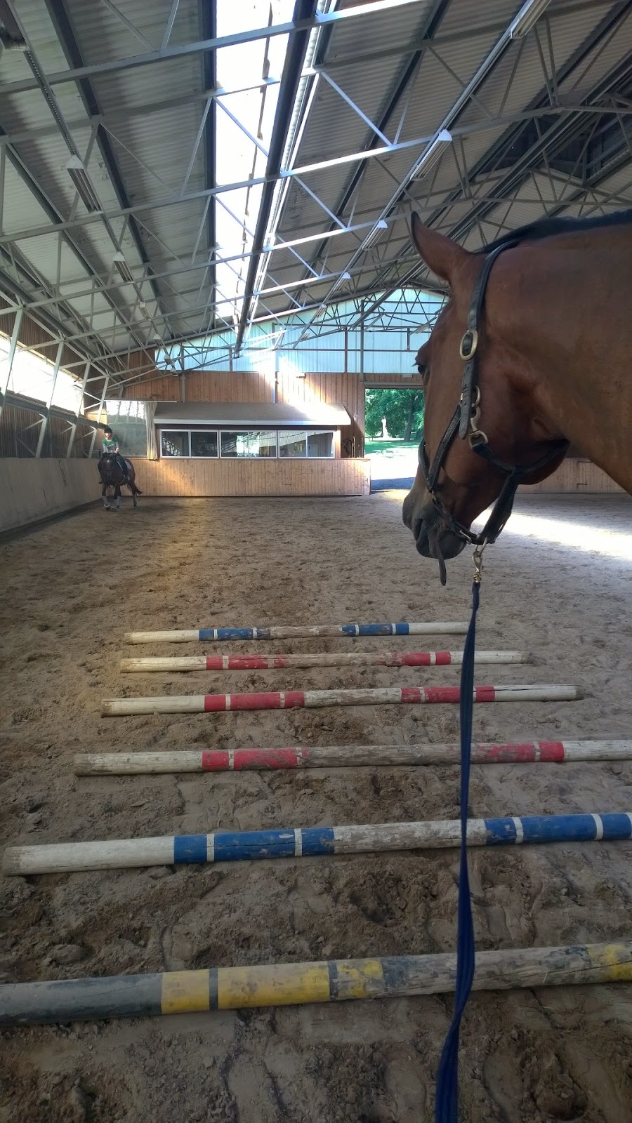 Roosa's Horsey Life: Pole work!