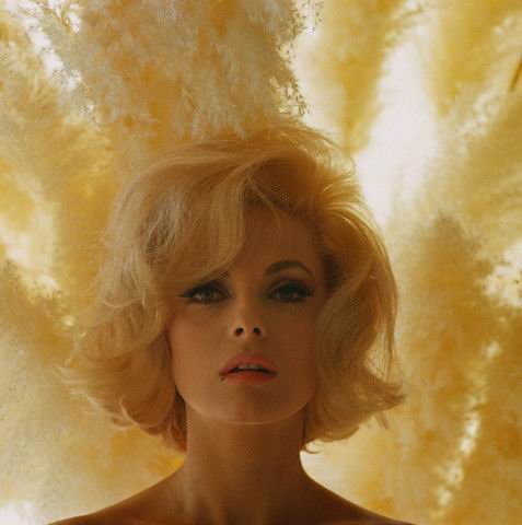 Cool&Cakes: I wanna be a diva but...c'è crisi