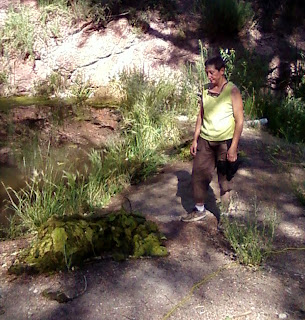 Polishing The Double Wide Turd: Redneck Pond Rakes and Piles of Algae