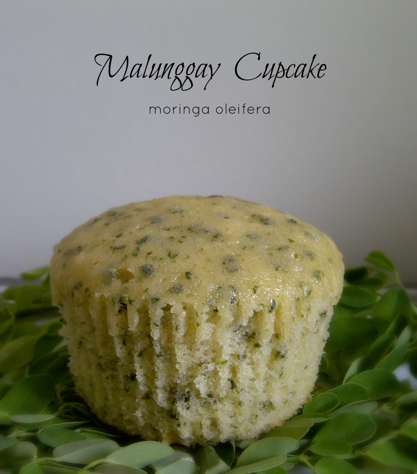 Epicurean Mommy: Malunggay Cupcake (Moringa Oleifera)