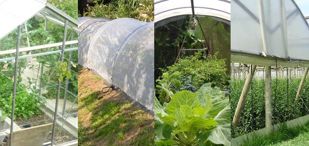 Tamunangue Verde : CONCEPTOS BÁSICOS PARA EL DISEÑO DE INVERNADEROS