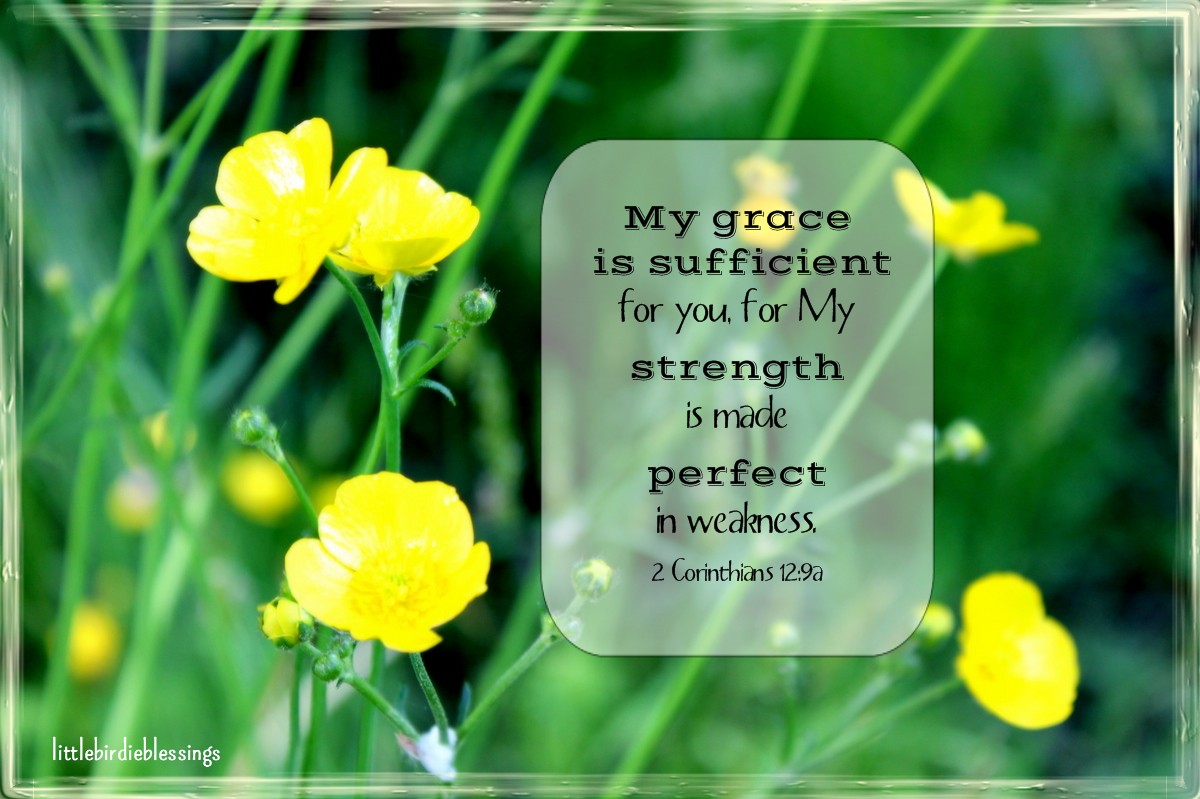 Little Birdie Blessings : God's Grace is Sufficient