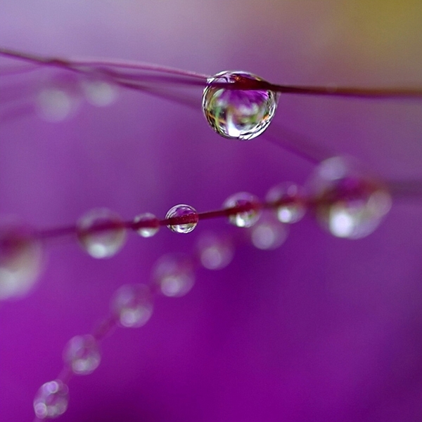Get Images: Beautiful Colorful Raindrops