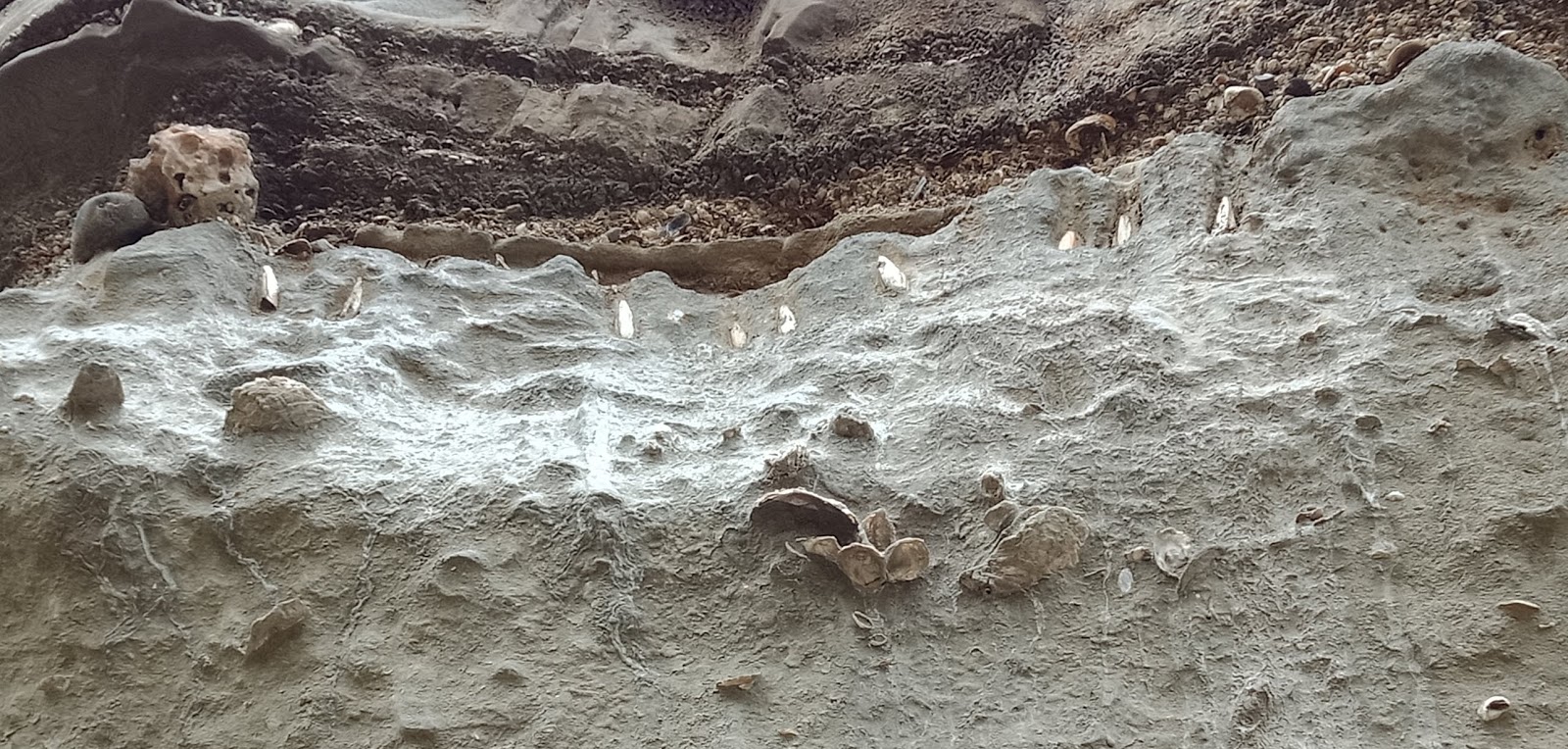 Aotearoarocks - Geology - Archaeology - History - Ecology: Guest post ...