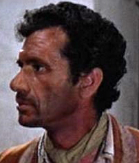 Enciclopedia del Cine Español: Fernando Sánchez Polack