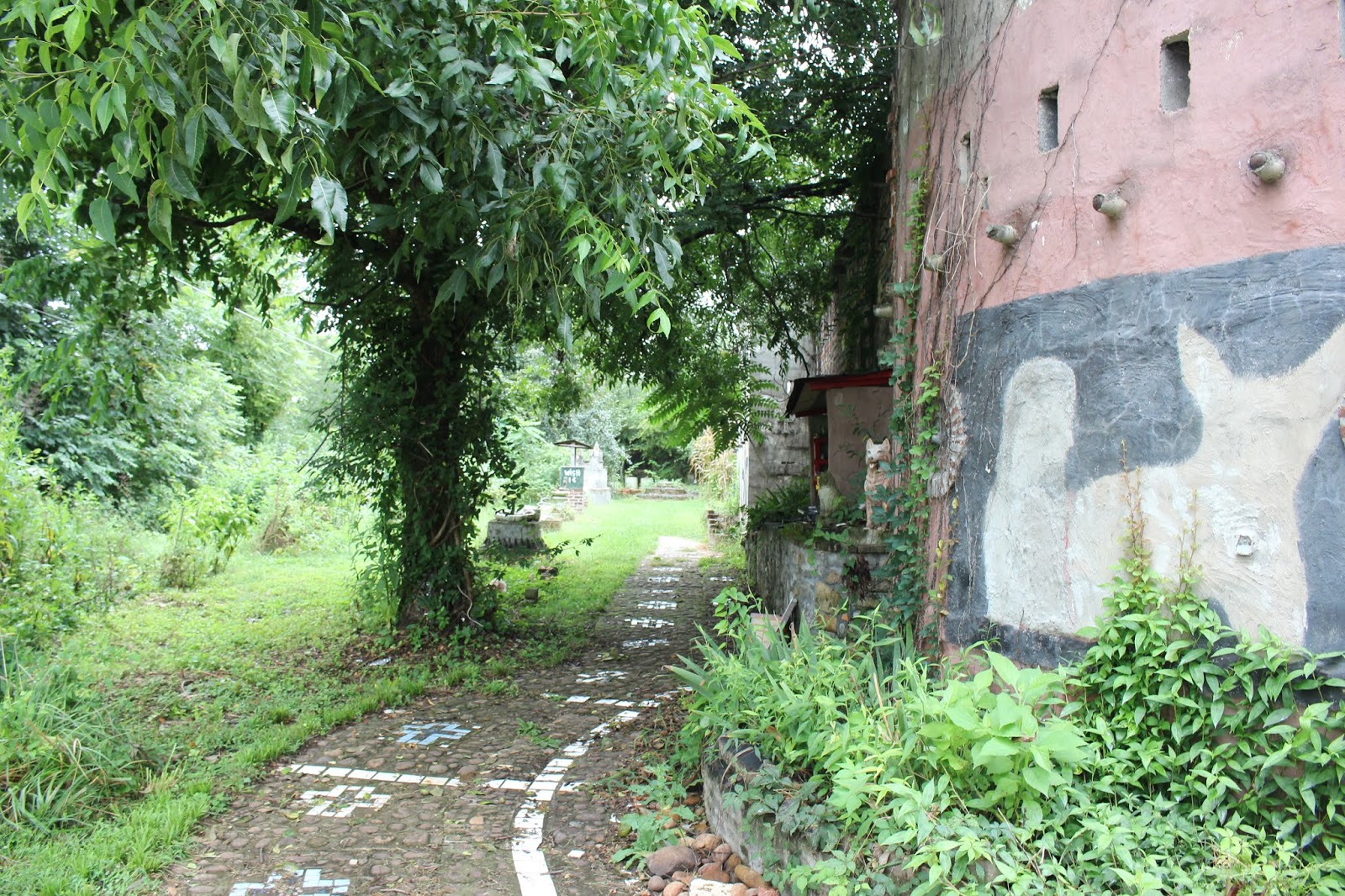 Cumberland Gal: Greenback Castle 2018