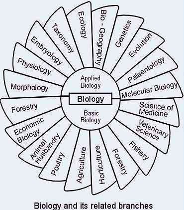 Online Biology: Names of the main branches of Biology