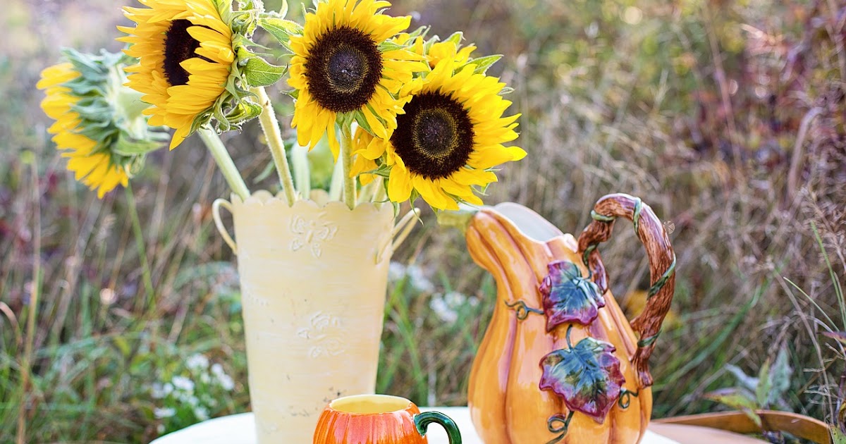 AUTENS DIRECT: The flower language and meaning of sunflower. Who is it for?