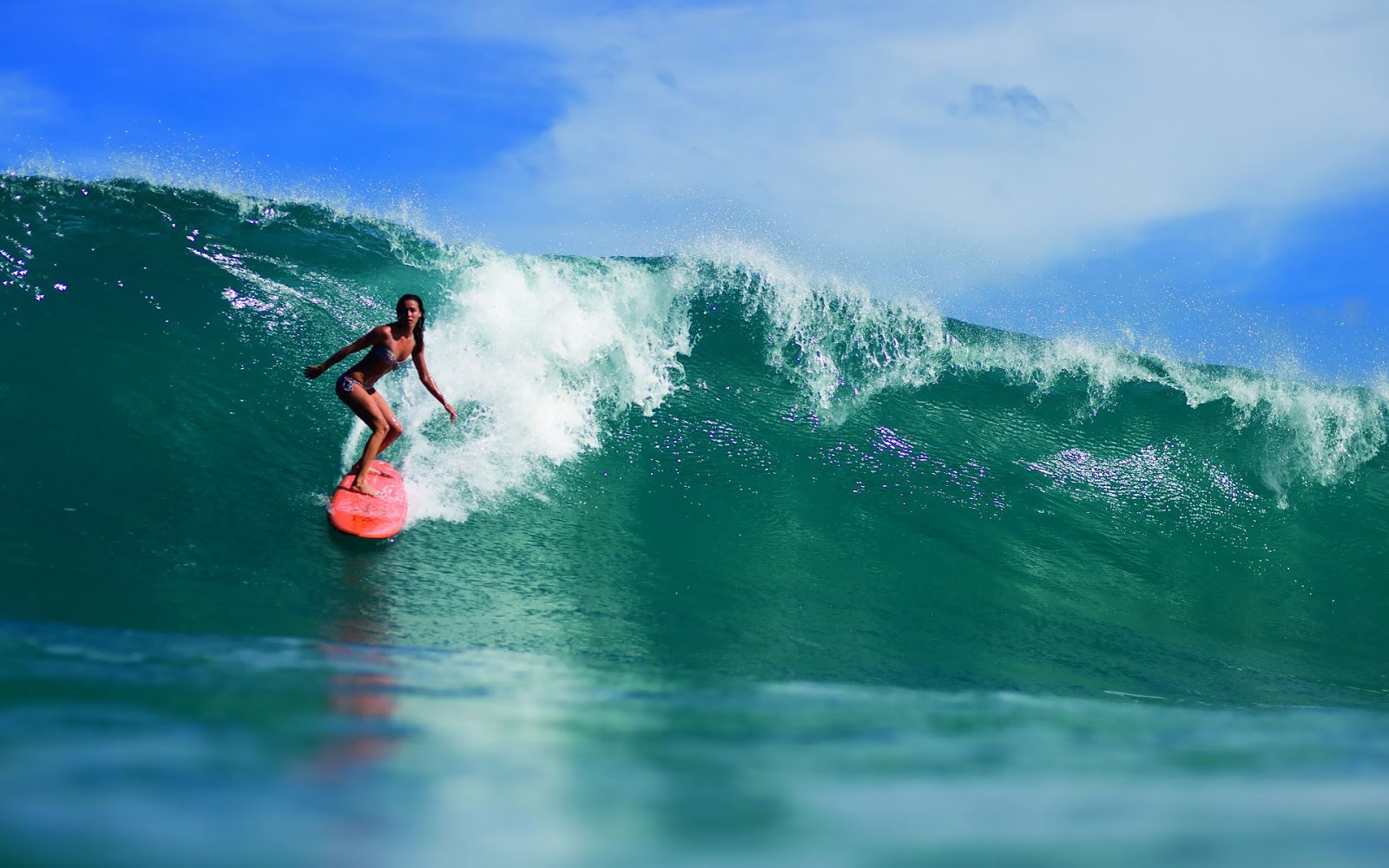 Vrouw surfen surfplank hoge golf