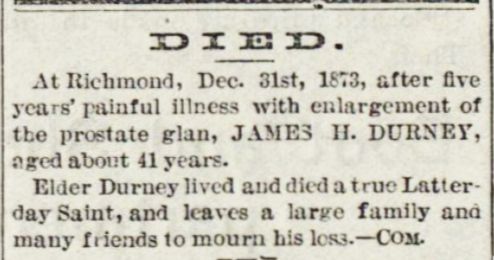 They Came to America . . .: James Holiday Durney 1831-1873