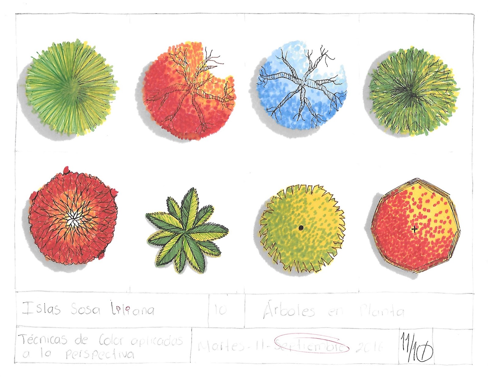 Arquitectos en Proceso: Árboles en Planta Generacion Ago 2016