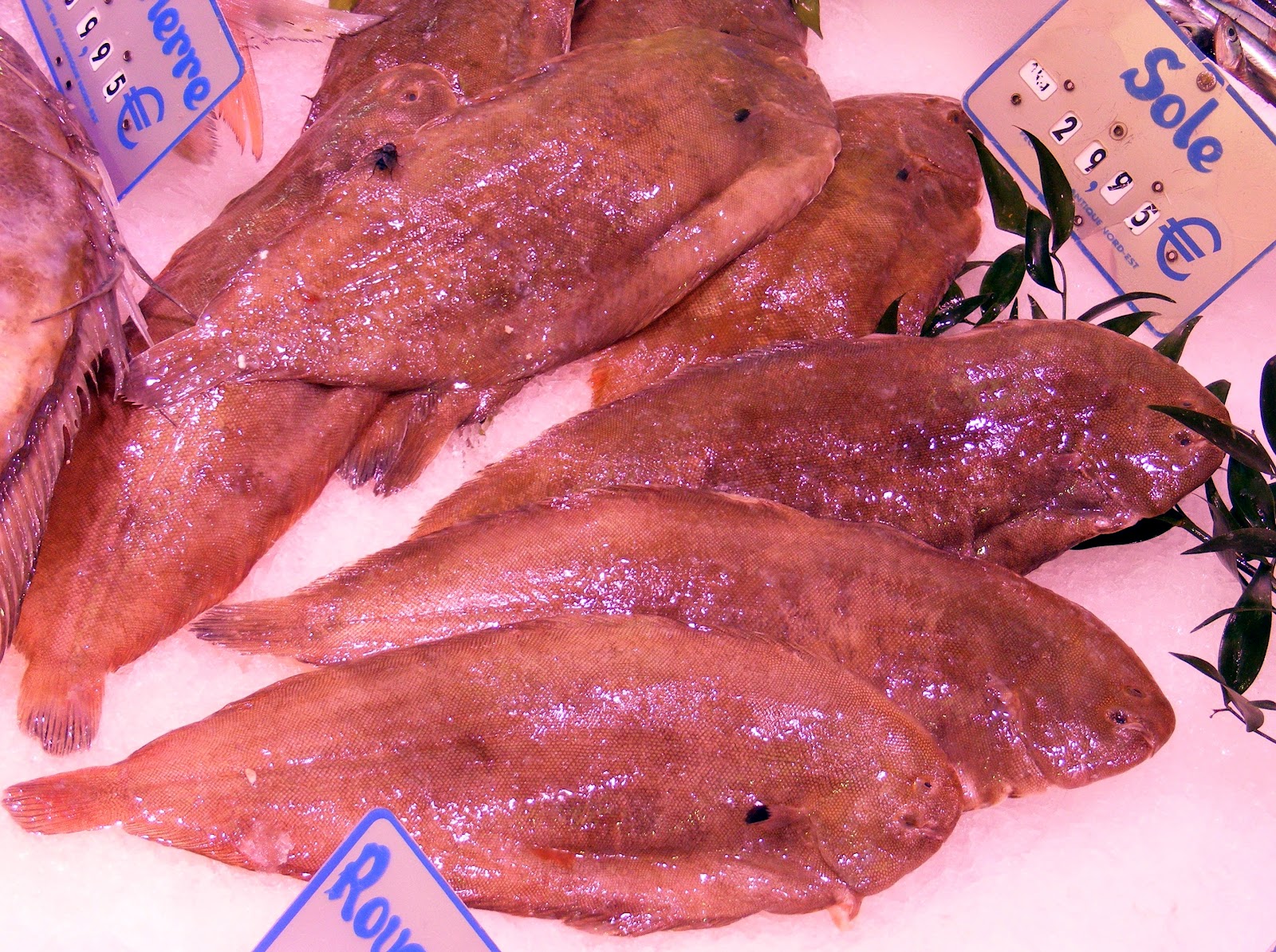 Sandy's France: Recipe of the Month: Sole dieppoise