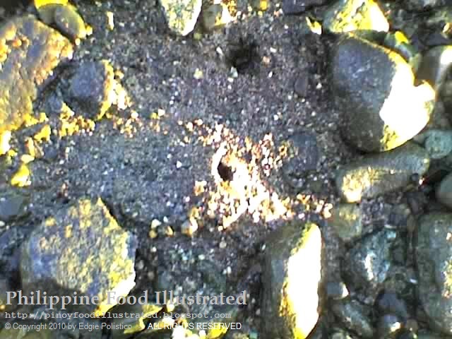 Philippine Food Illustrated: sasing