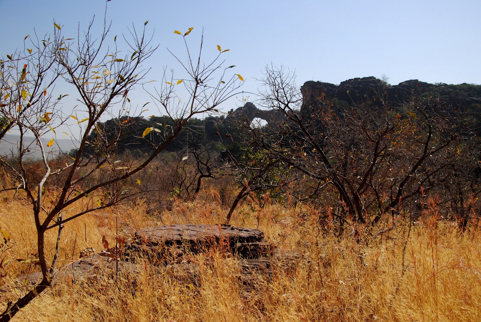 Nina dans tous ses états: Mali - Sibi