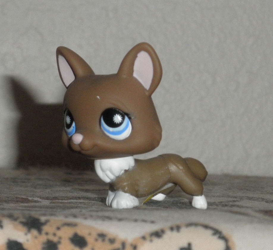 Collectomania: LPS Dogs Part 1