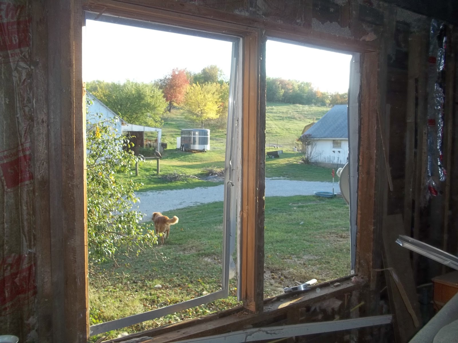 Farm Girl vs Farm House: Window Extravaganza!!!! (Part 1)