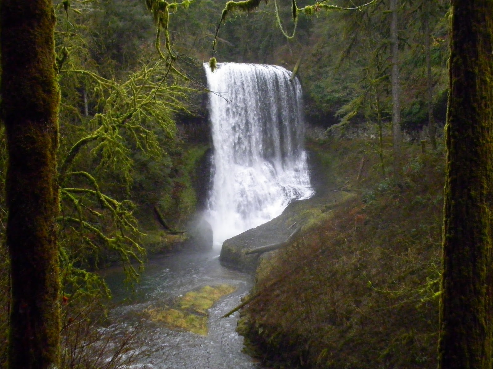 Black Watch Sasquatch: Silver Falls State Park - Silverton, Oregon