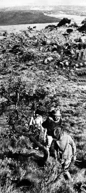 Our Rhodesian Heritage: To The Top of Rhodesia's Highest Mountain