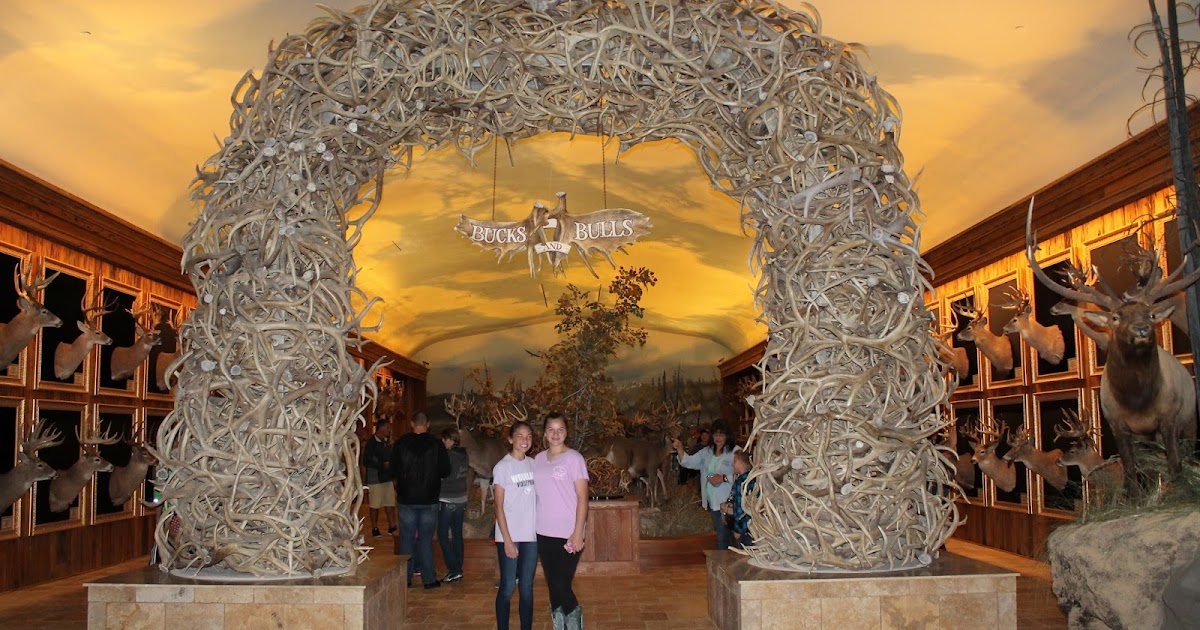 The Missouri Mom: Johnny Morris’ Wonders of Wildlife National Museum ...