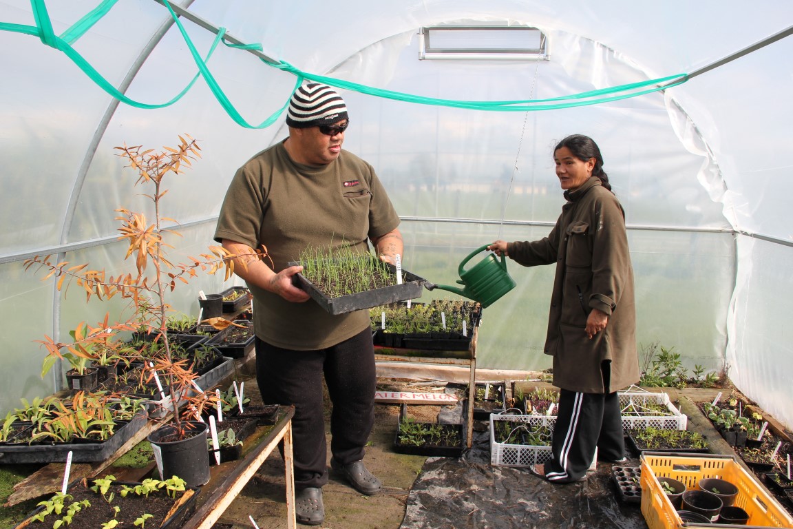Maxine Boag - Napier City Councillor: The garden at Pukemokimoki marae