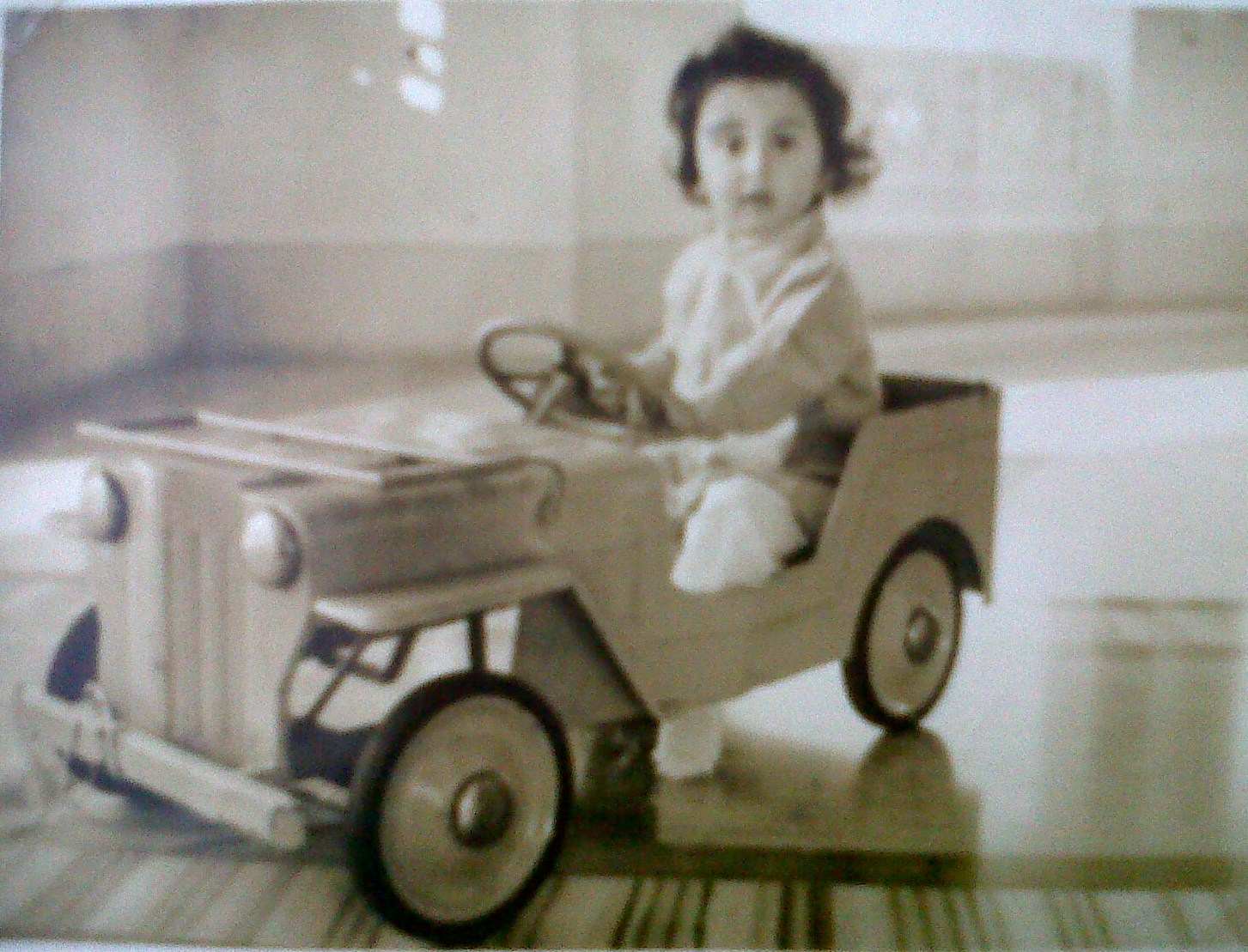 Indra Vikram Singh's heritage and myriad strokes: Indrajit-Padmini ...