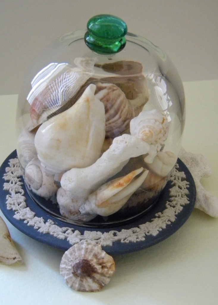 homework: Etceteras: diy bell or cloche jars