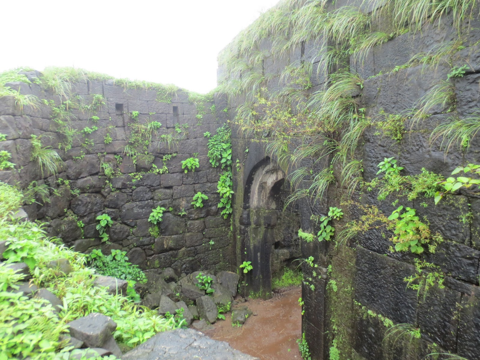 rajmachi | राजमाची (Shrivardhan fort and Manaranjan Fort) | गड-चित्रे