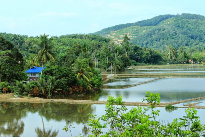 Full time taxi driver. Part time blogger & small time instafx investor ...