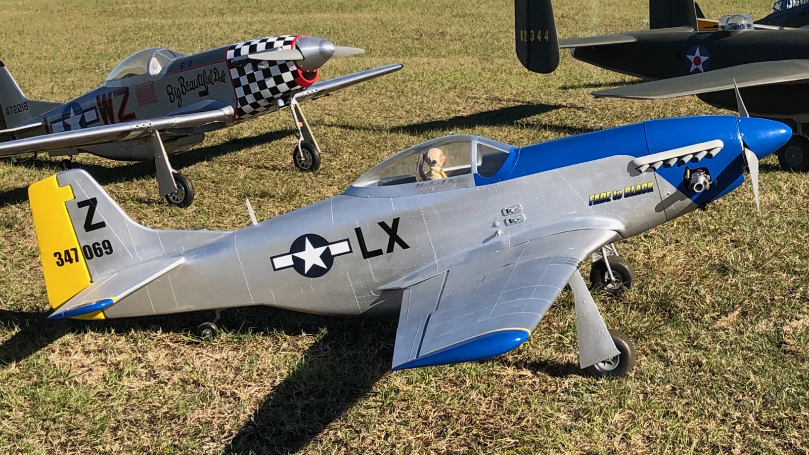 Southwest Georgia's RC Flying Club for Over 25 Years